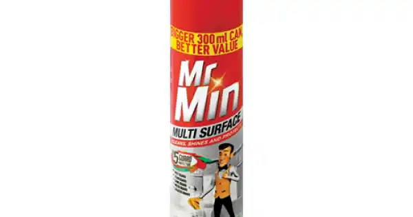 Mr Min Multi Surface Polish Regular 300ml