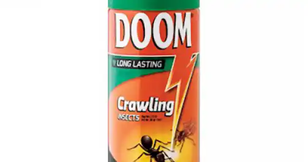 Doom Defend Insecticide 300ml