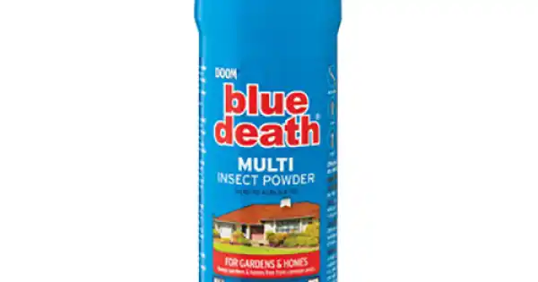 Doom Blue Death Insect Powder 100g